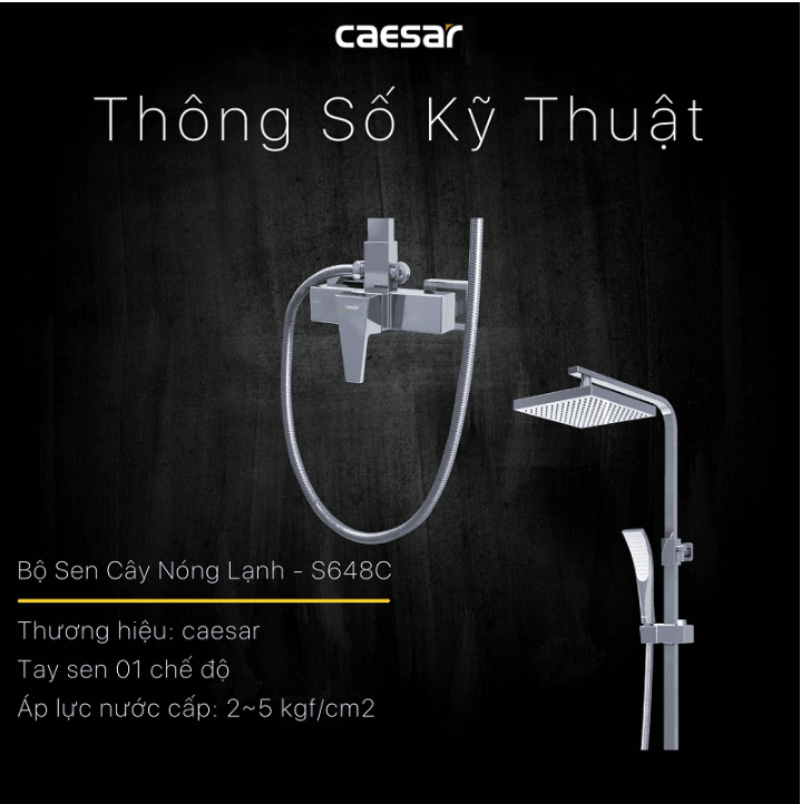 Sen Tắm Đứng Gắn Tường Caesar S648C giá rẻ